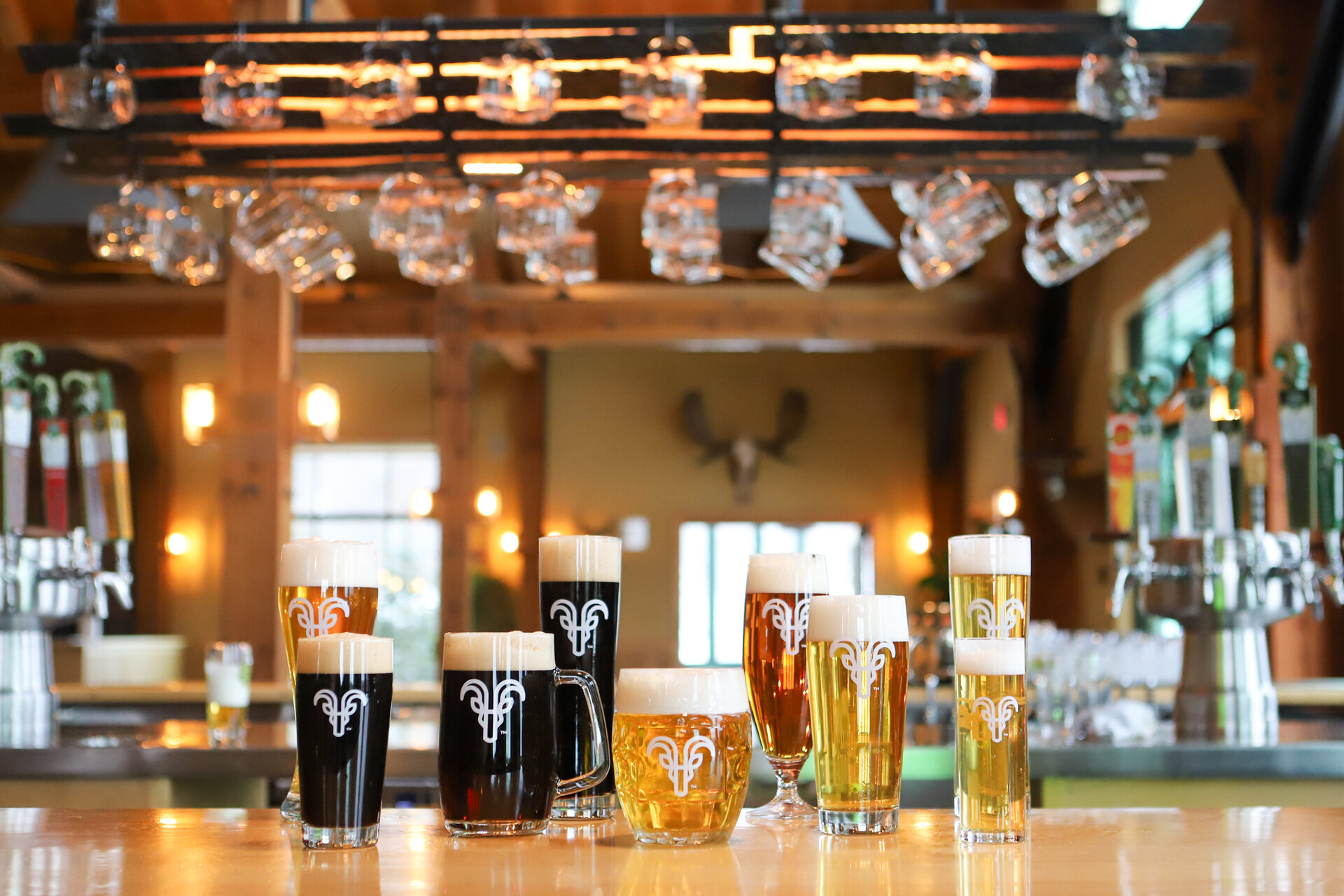 Locally Brewed Beer in Stowe, Vermont | von Trapp Brewing